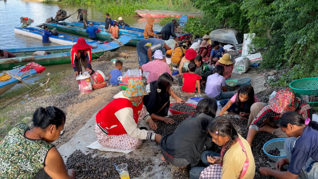 របររាវលៀសជួយជីវភាពពលរដ្ឋស្រុកអង្គរបុរីក្នុងរដូវទឹកលិច - បទយកការណ៍